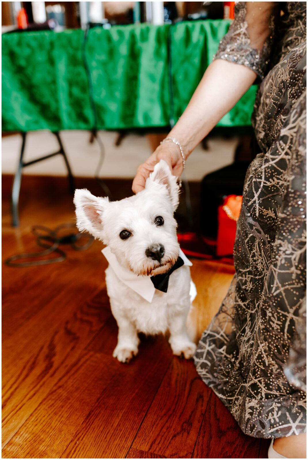 Best Greenhouse Wedding Venues | PPG Wintergarden Wedding